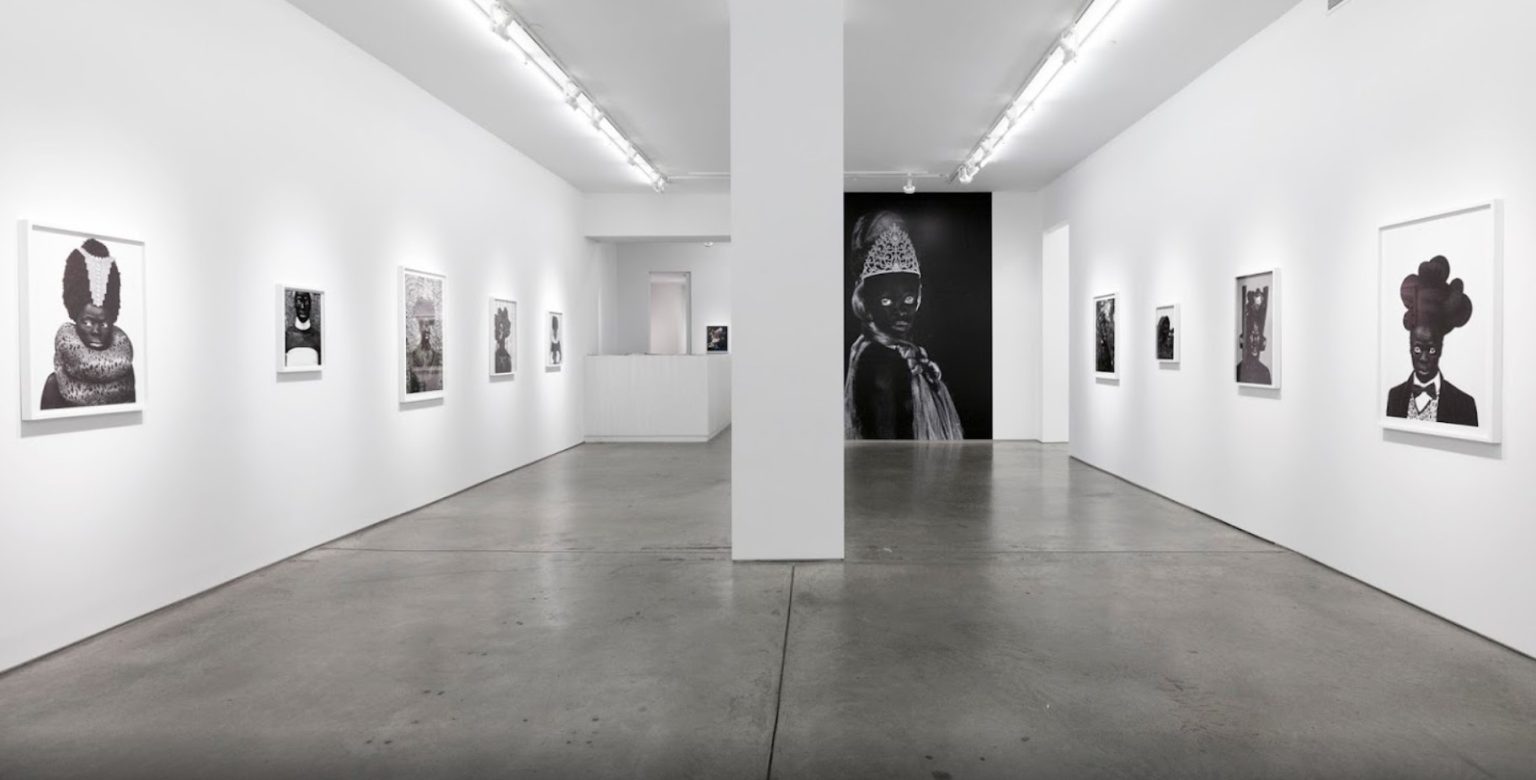 Alexander Gubski Photography - Striving for Optical Excellence